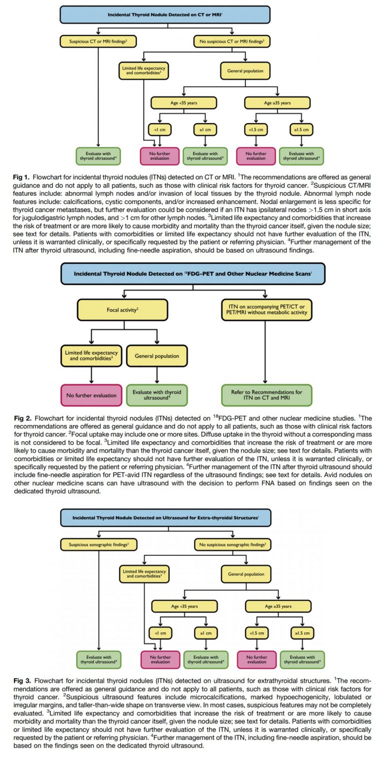 Resources – Spectrum Radiology North